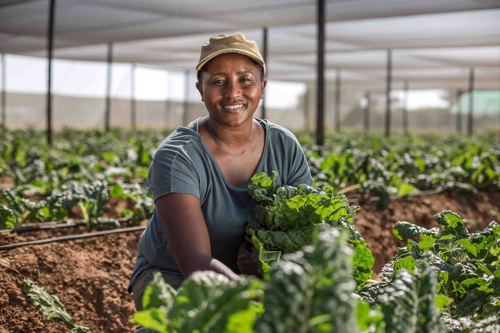 Khula | Smart Farming