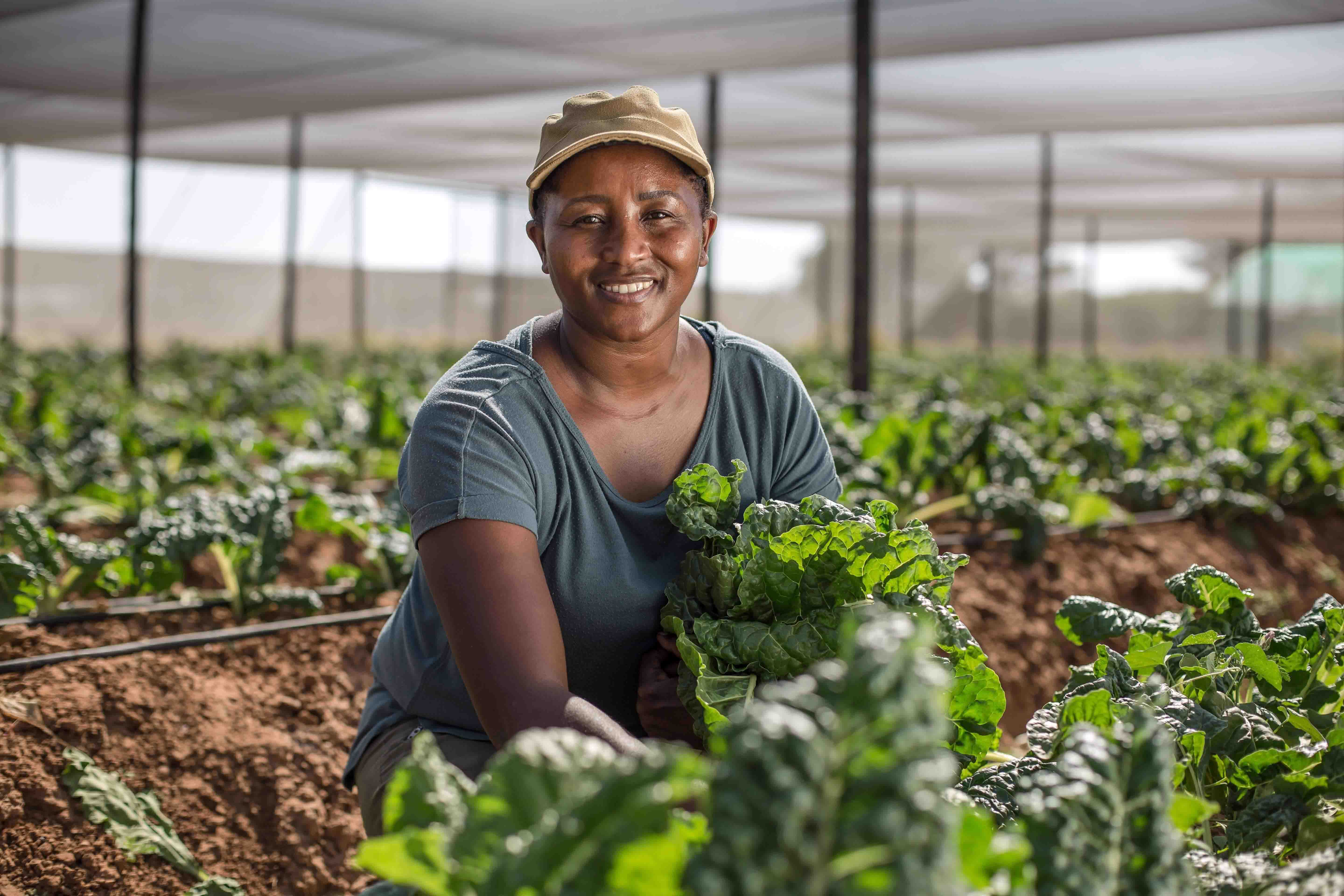 Khula | Smart Farming